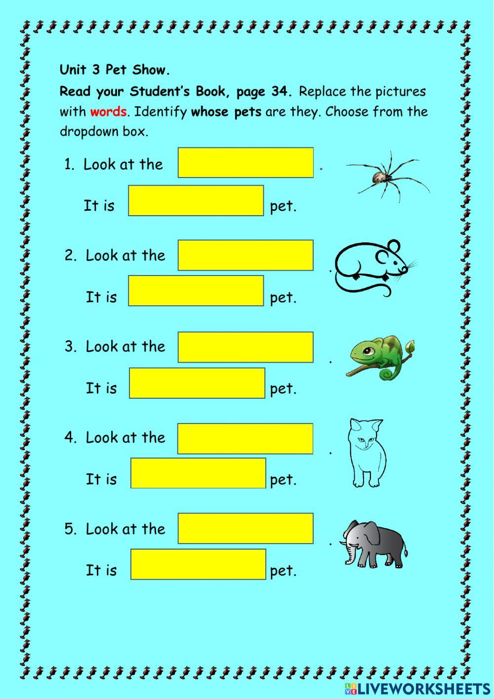 Unit 3 Pet Show (Chant) worksheet | Live Worksheets