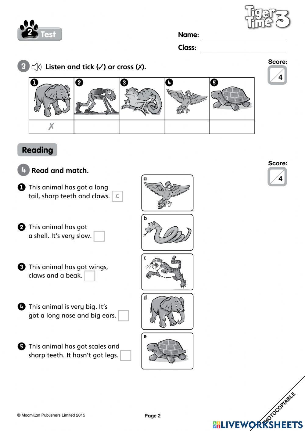 tiger time 3 unit 2 test 6654775 | ANALIA MATTEUCCI