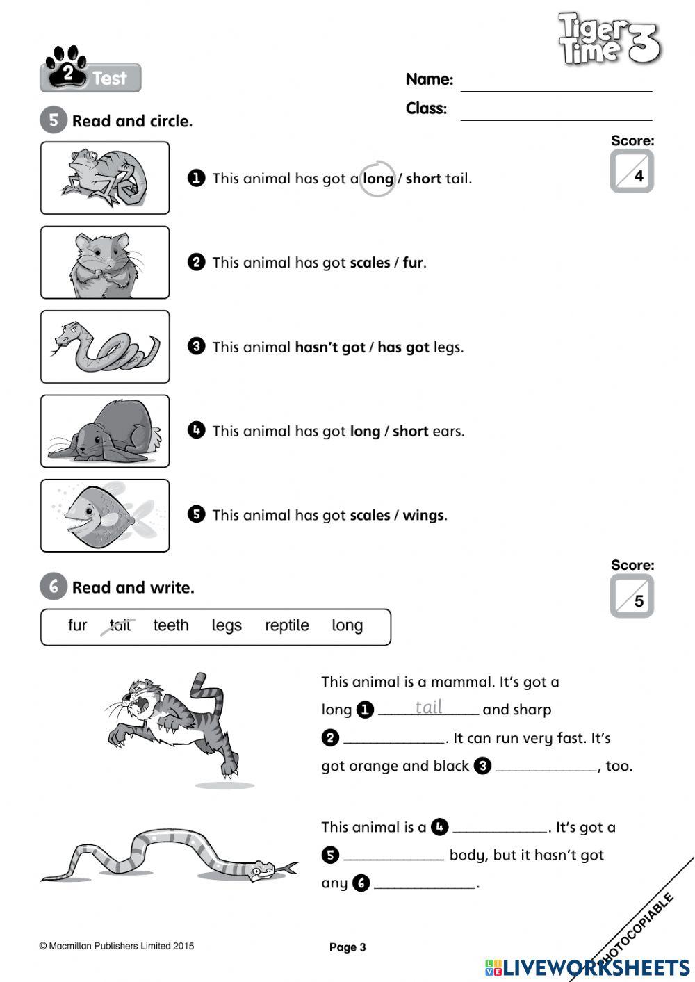 tiger time 3 unit 2 test 6654775 | ANALIA MATTEUCCI