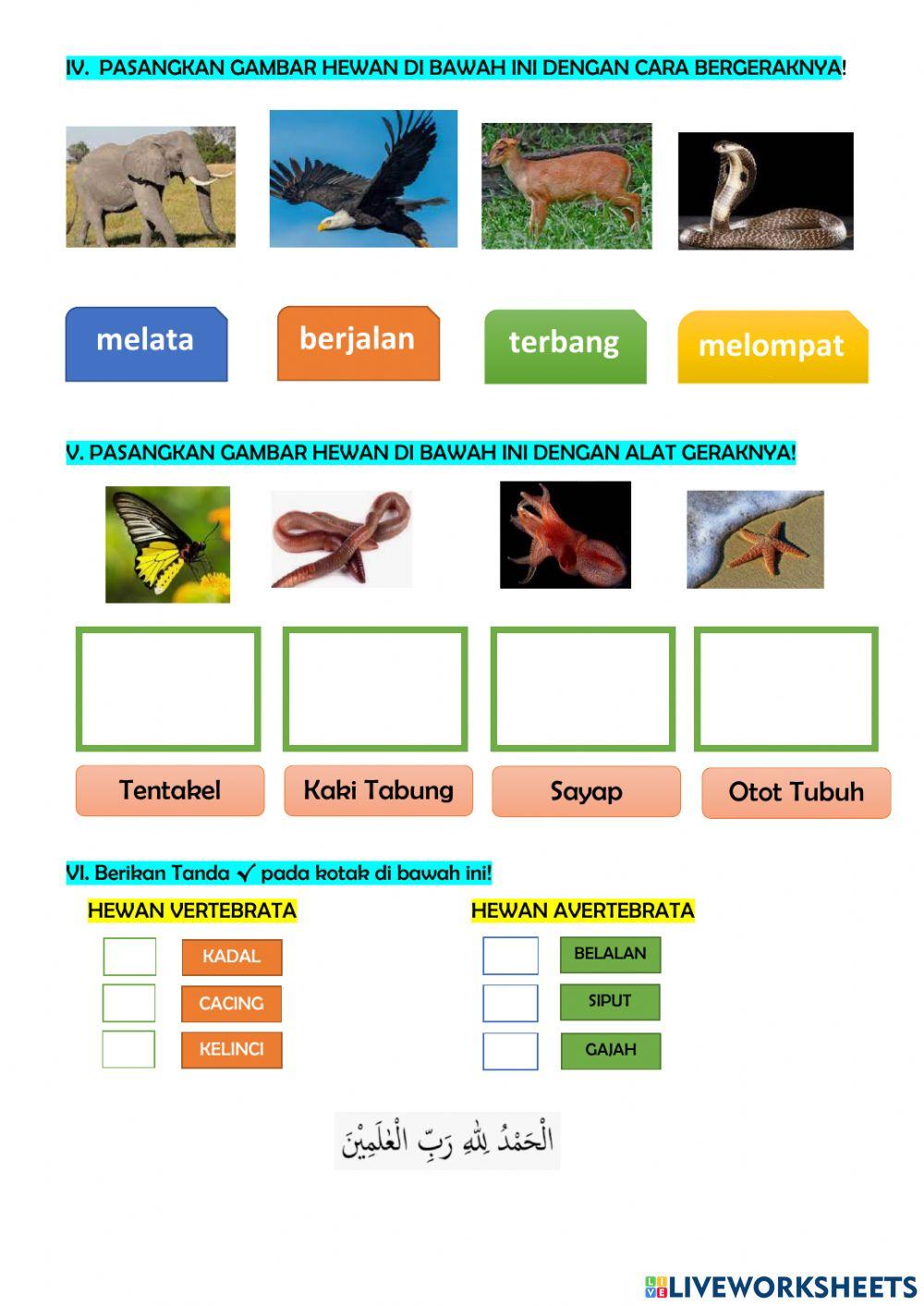 Organ gerak hewan online activity | Live Worksheets