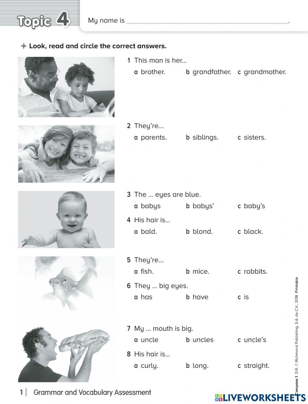 The verb have -… | Free Interactive Worksheets | 1146713