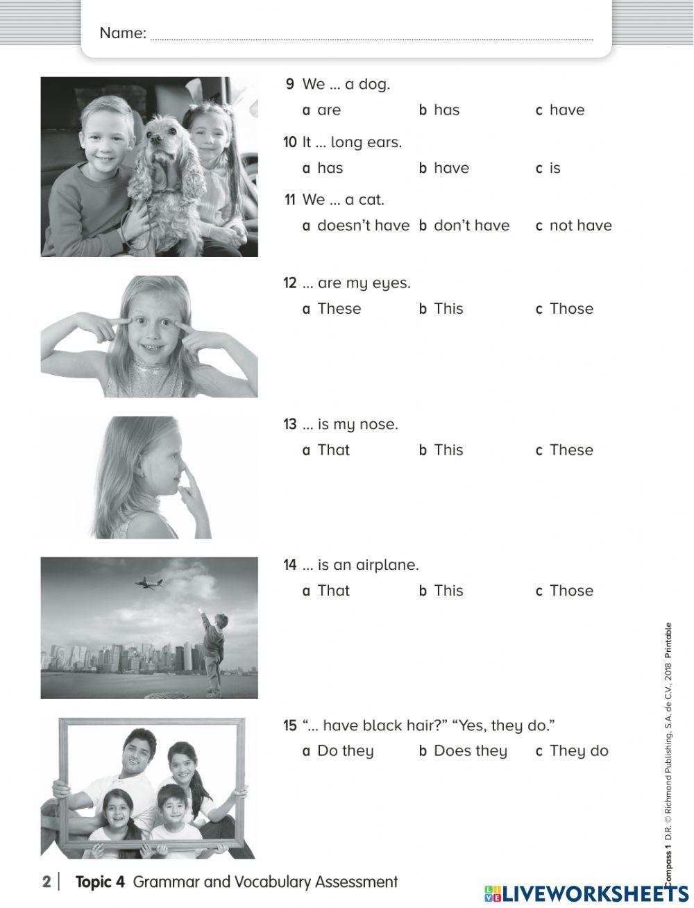 The verb have -… | Free Interactive Worksheets | 1146713