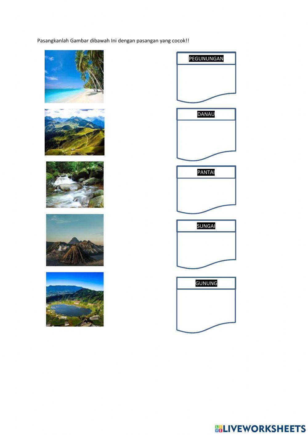 Ips activity for 5 | Live Worksheets