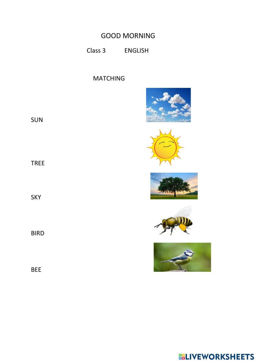 Good morning exercise for 3 | Live Worksheets