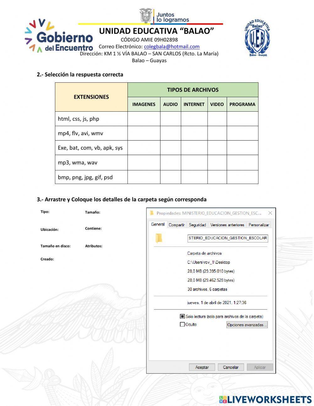 Tipos de archivos y extensiones worksheet | Live Worksheets