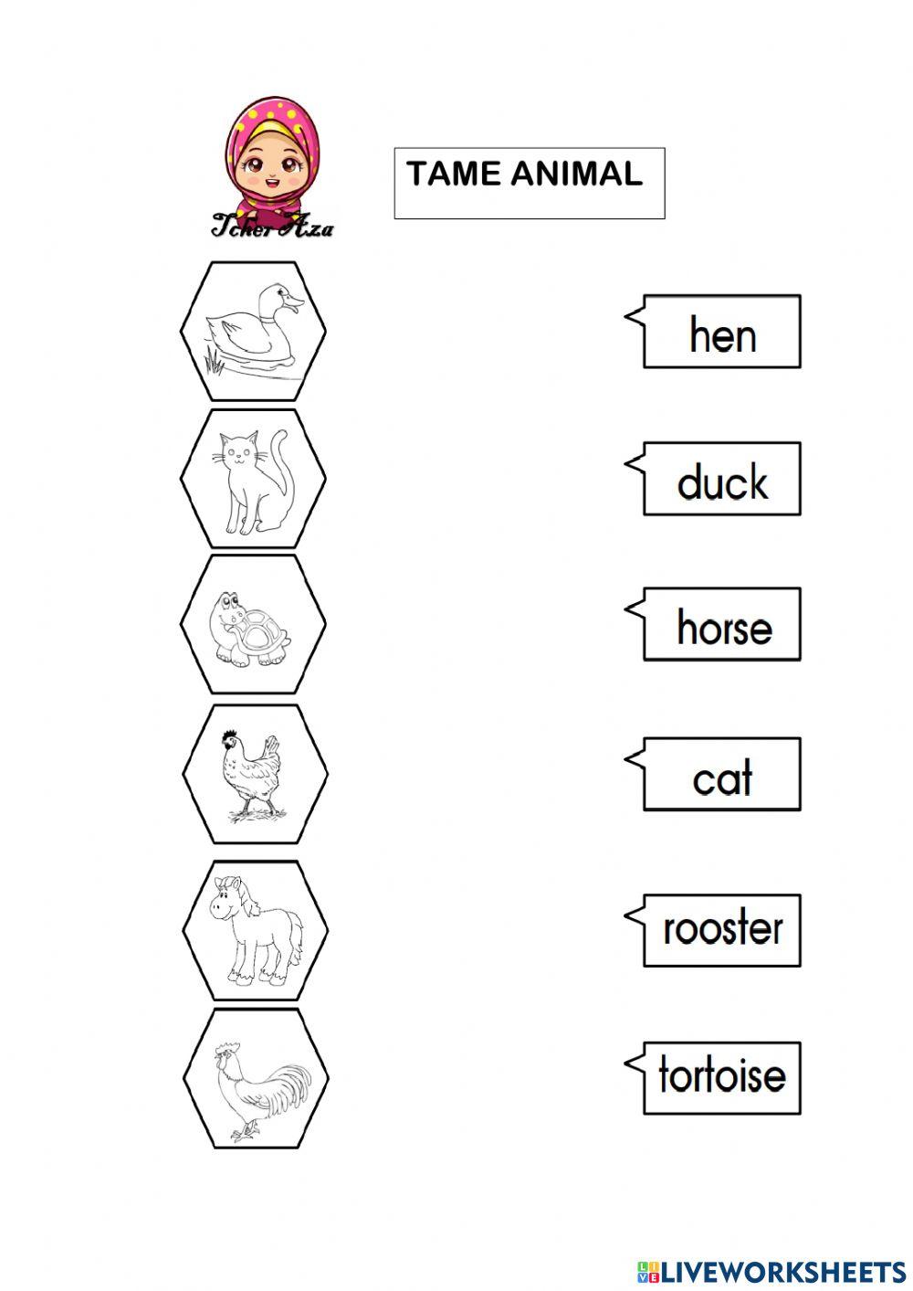 Tame Animal 1150534 | aza saedy | LiveWorksheets
