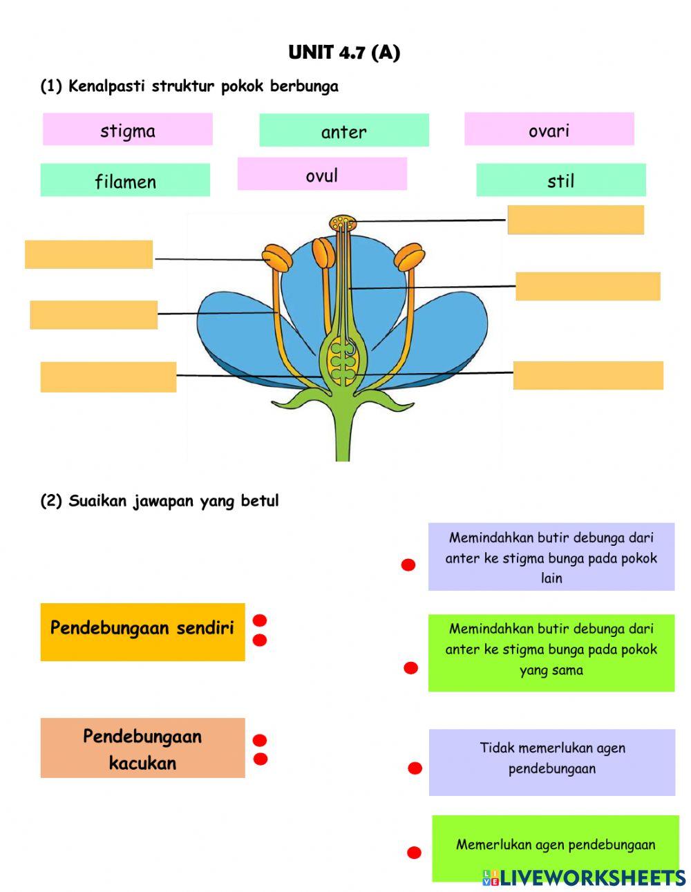 UNIT 4.7 (a) worksheet | Live Worksheets