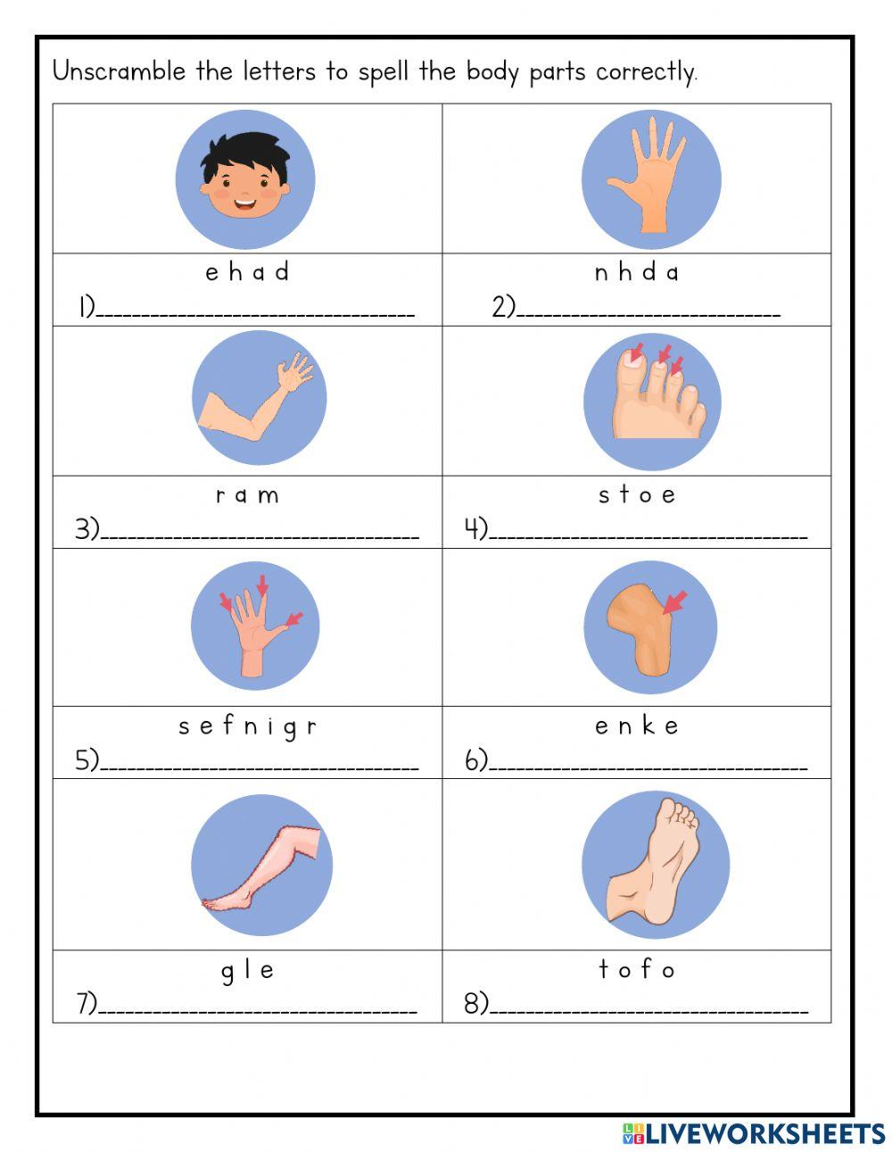 body parts that have 8 letters