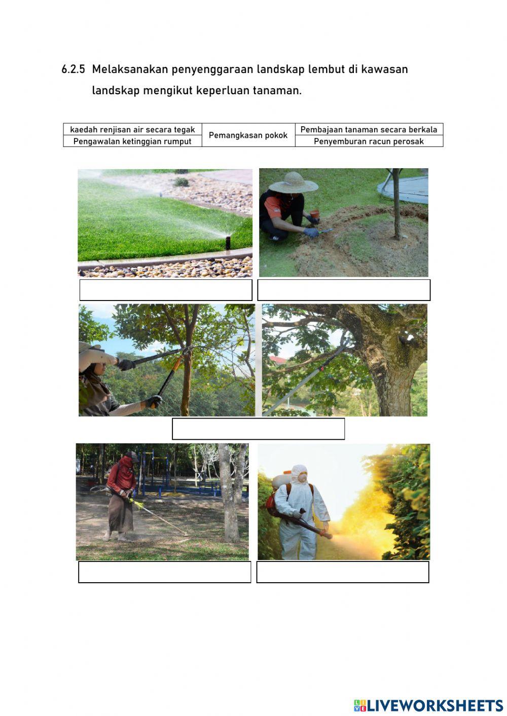 Tugasan Landskap activity for T5 | Live Worksheets