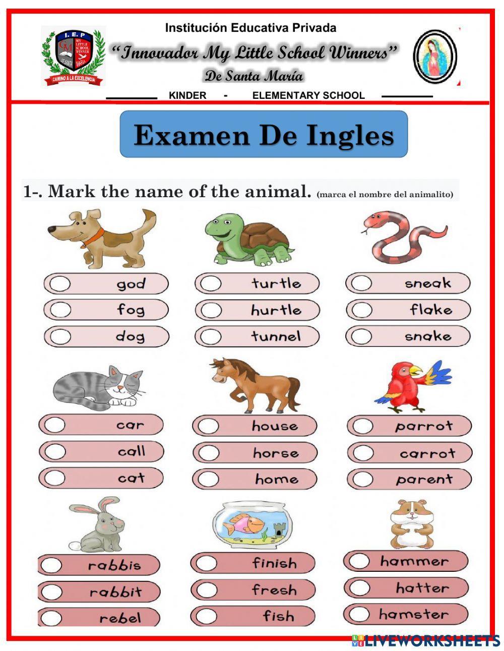 Examen De Ingles Basico Para Nios De Primaria Varios Nios Kid's Box