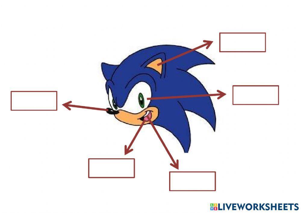1153256 | Body parts Sonic - Drag and drop | TeacherDelfi