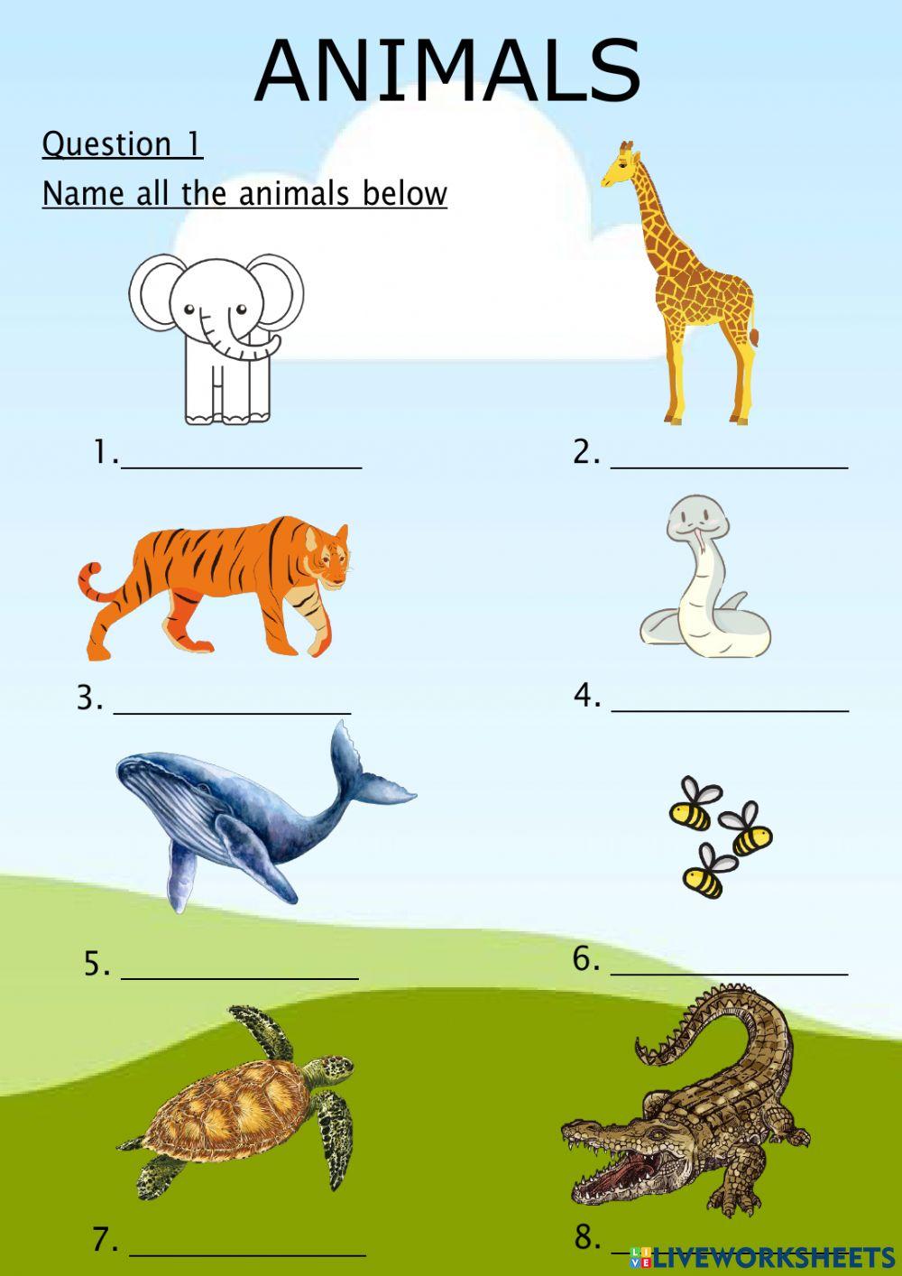 Animals 1153570 | Nur Aishah | Live Worksheets