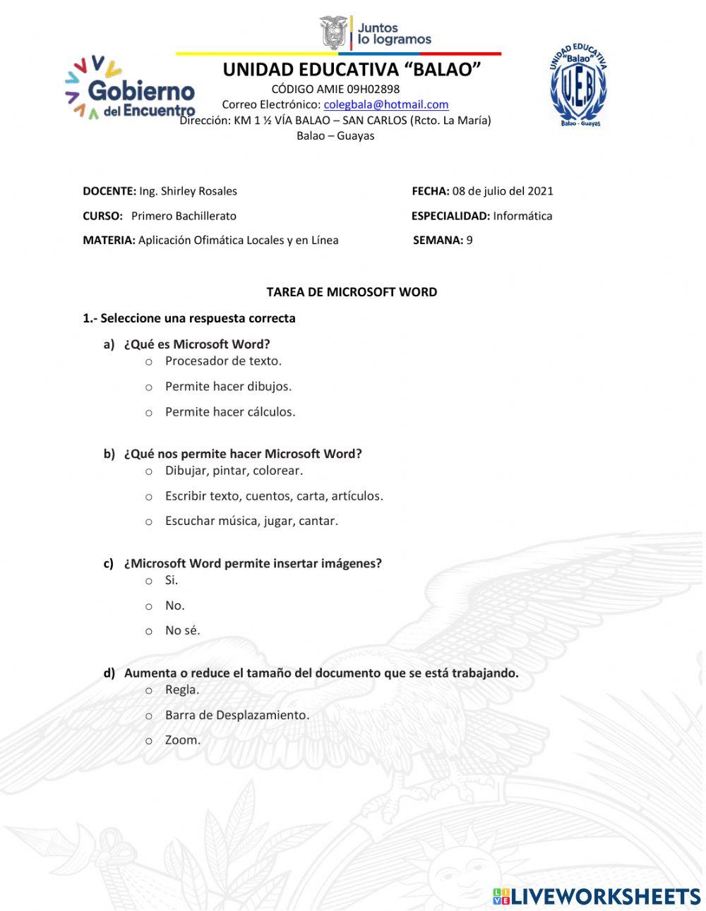 Microsoft Word | LiveWorksheets | 1074041