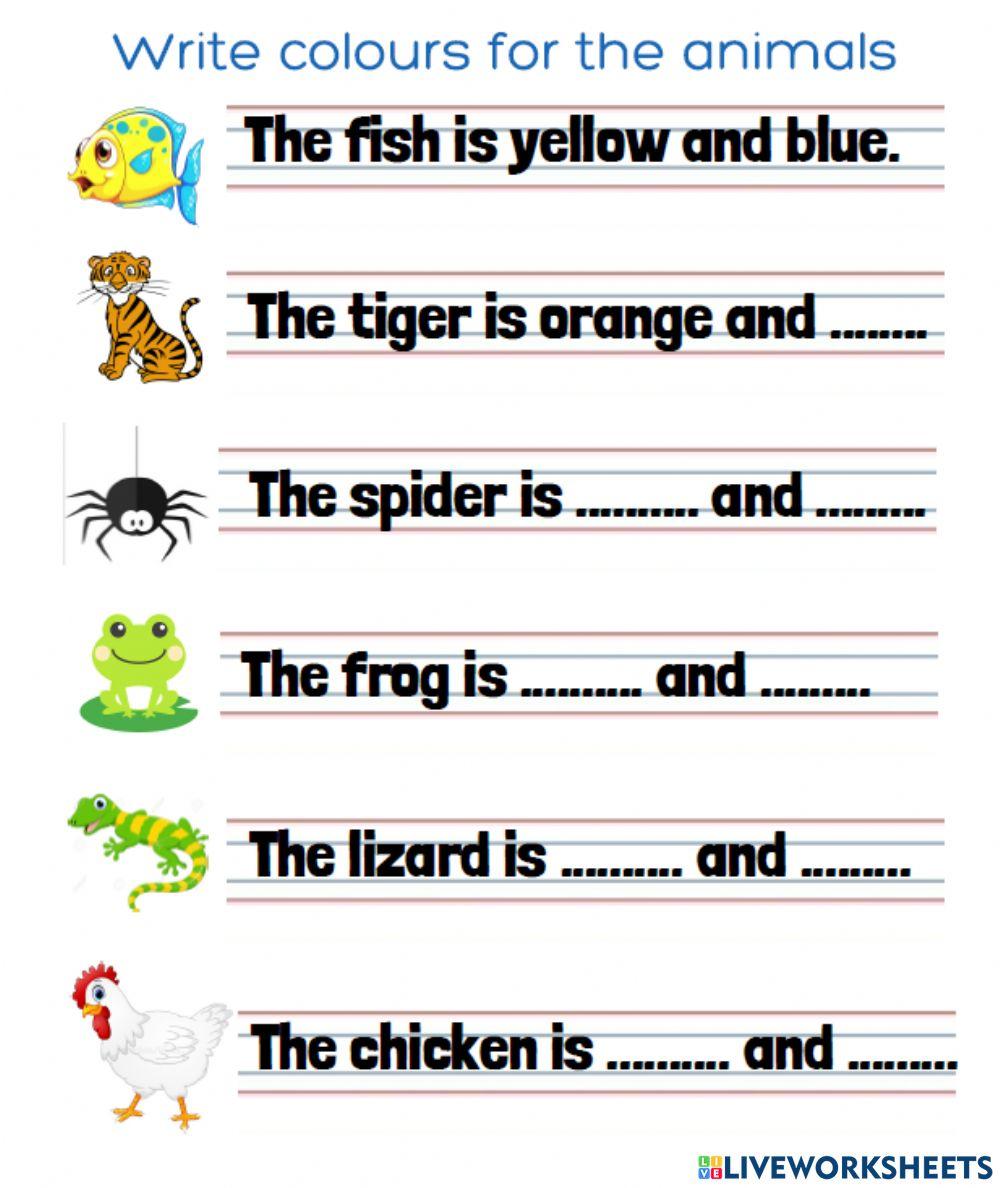 Colours online exercise for 1st | Live Worksheets