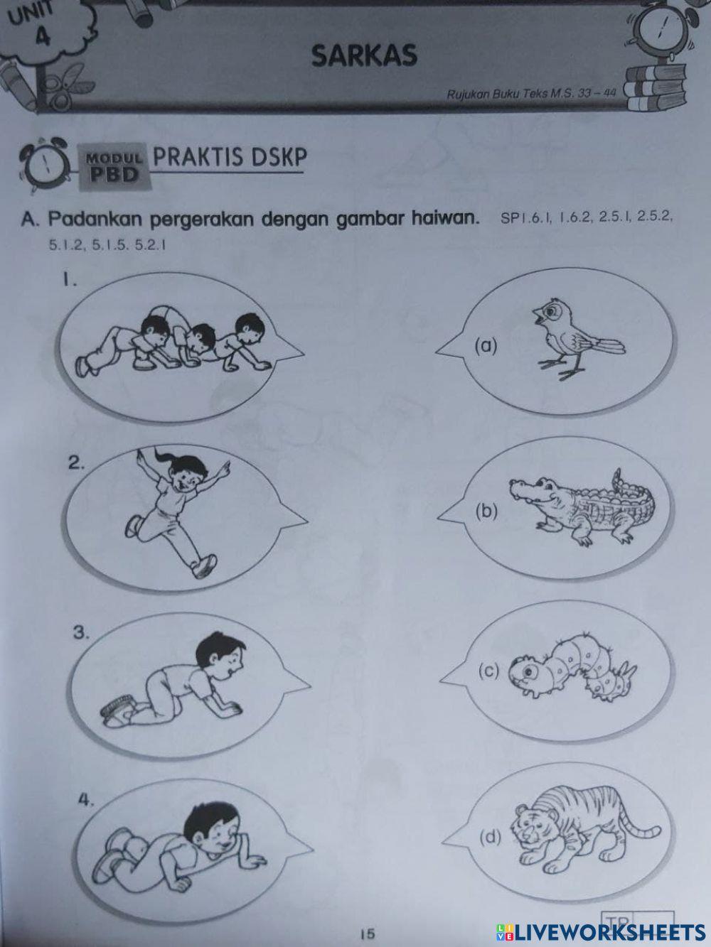 sarkas online exercise for | Live Worksheets