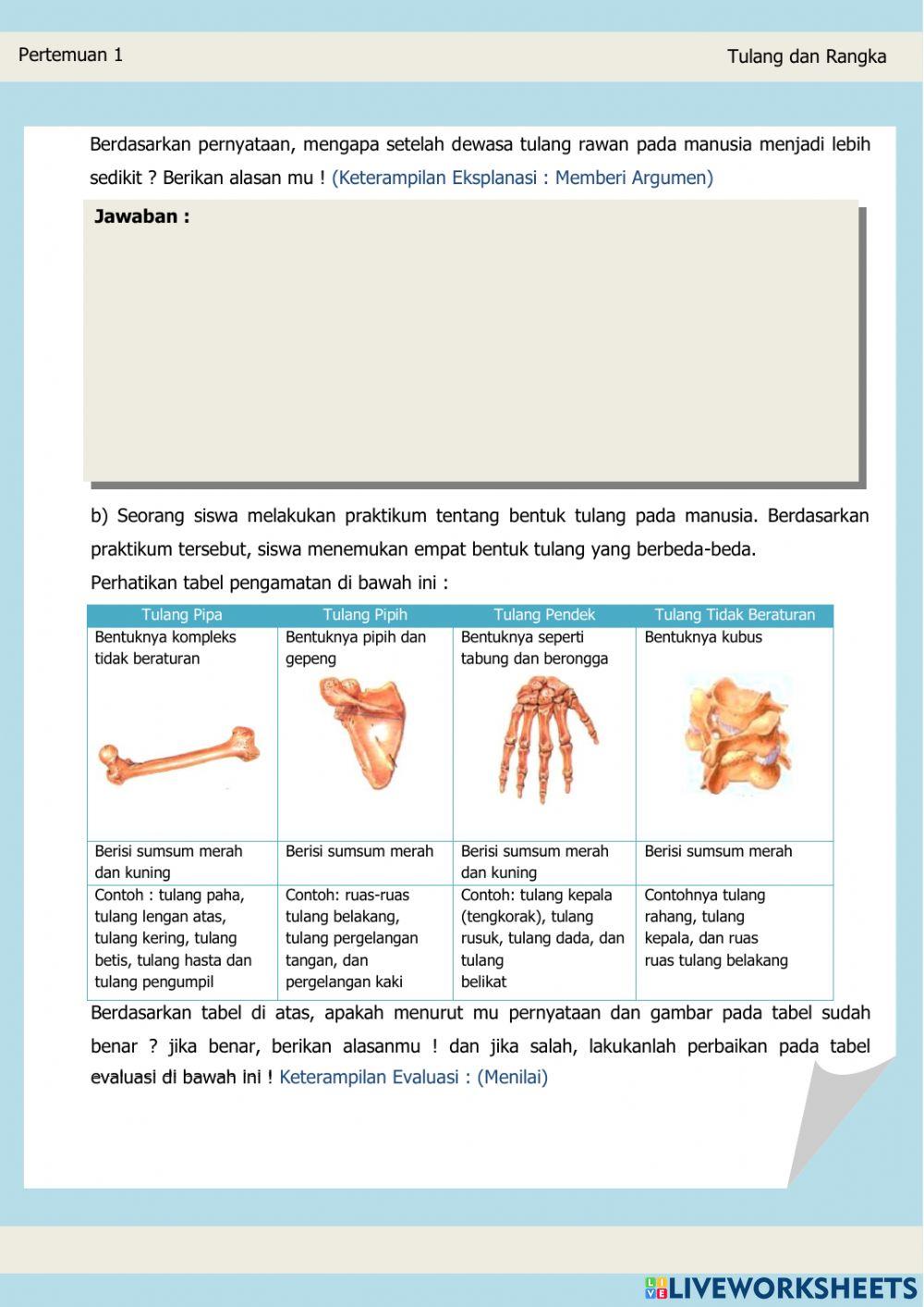 LEMBAR KERJA PESERTA DIDIK ELEKTRONIK (Tulang dan Rangka) worksheet | Live Worksheets