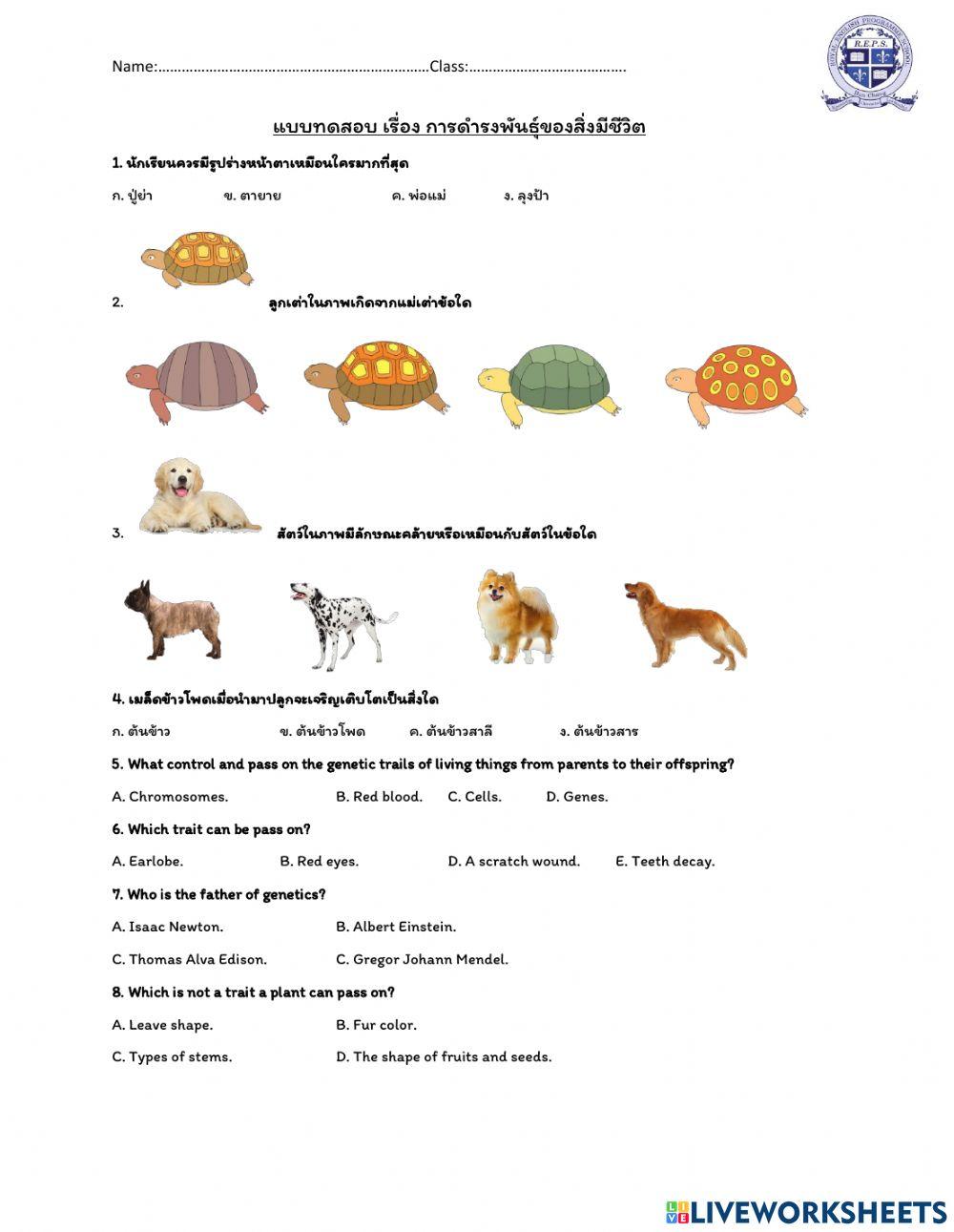 Genetic Trait Exercise online exercise for | Live Worksheets