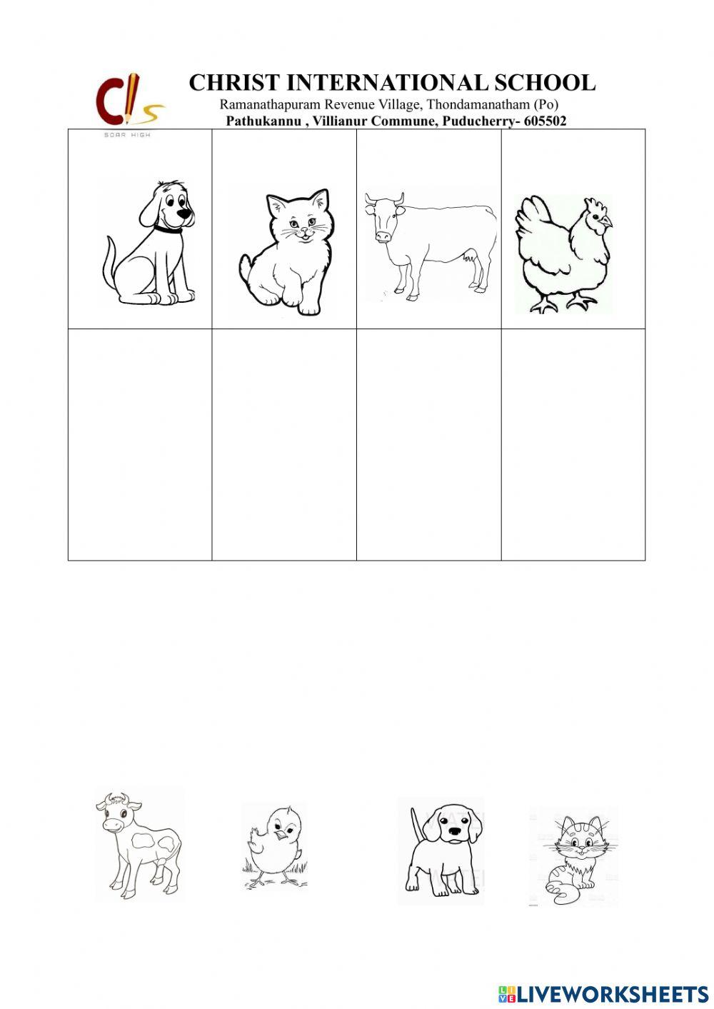 Gk worksheet | Live Worksheets