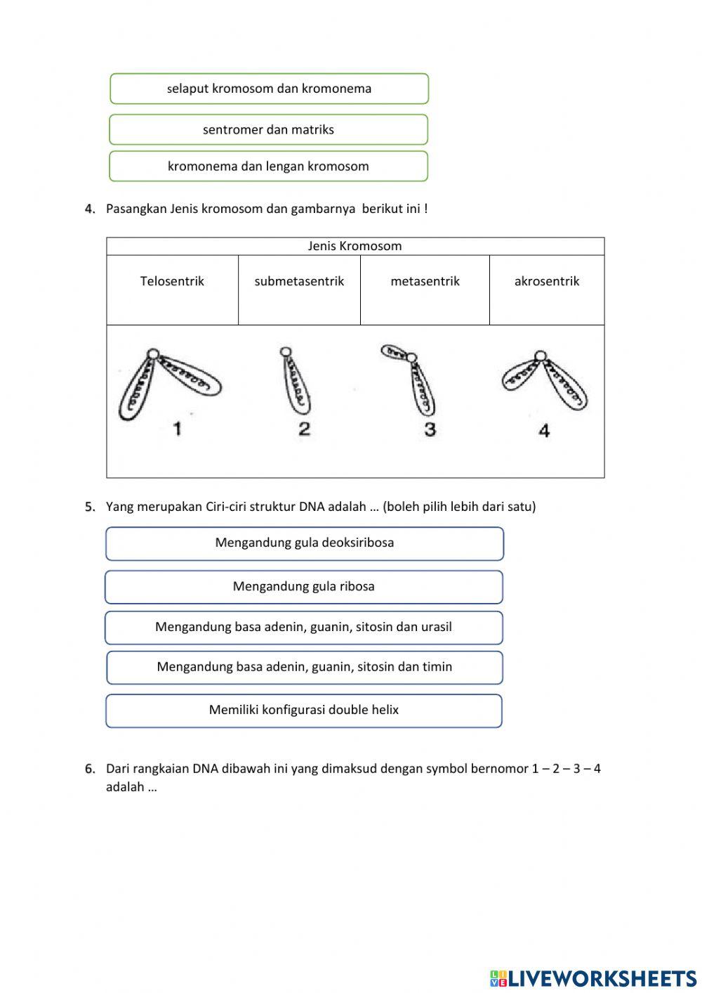 LKPD 6 Biologi 12 worksheet | Live Worksheets