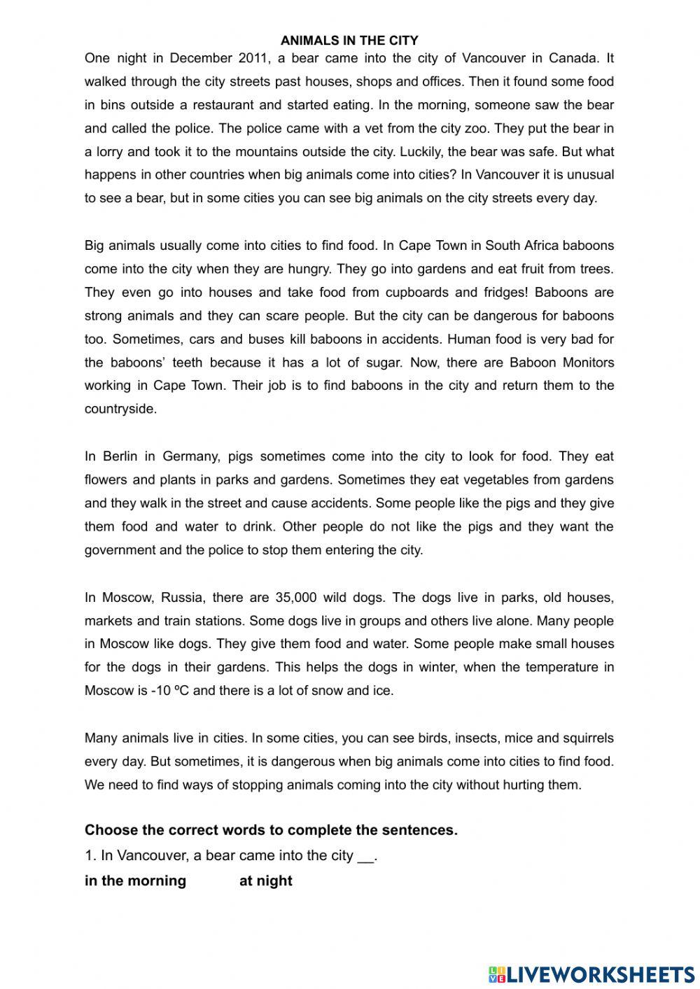Animals in the city interactive worksheet | Live Worksheets