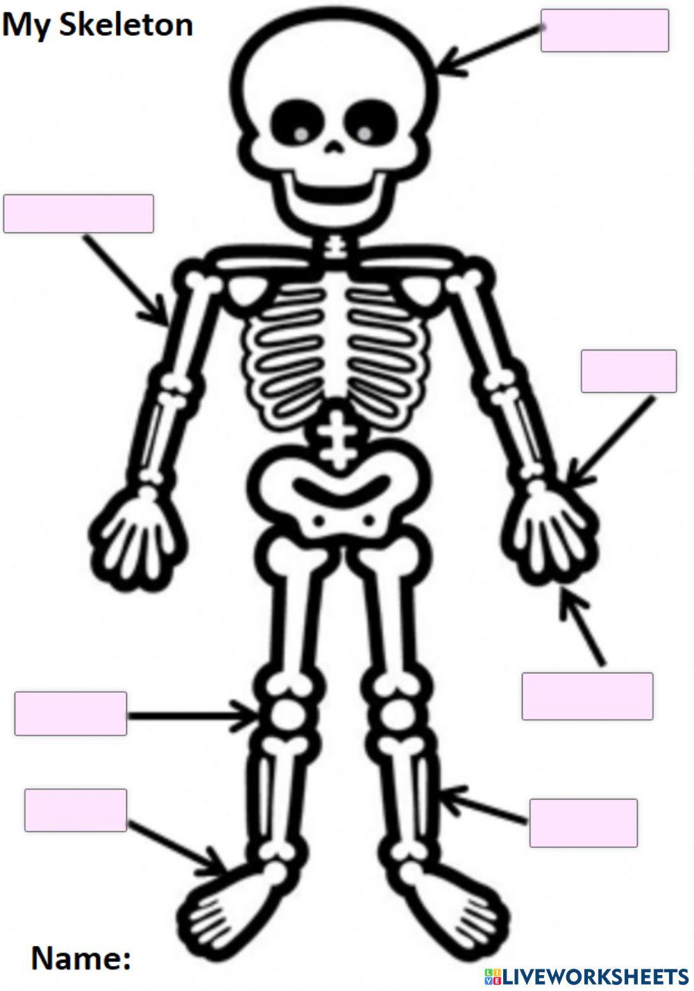Skeleton English language activity | Live Worksheets