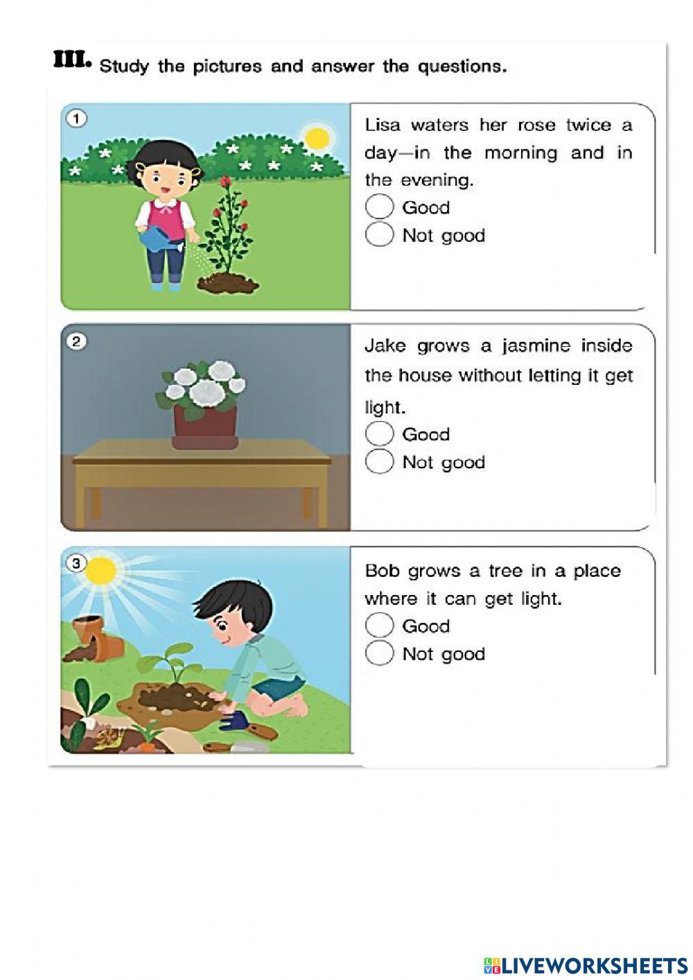 6673462 | IMPORTANT FACTORS FOR PLANT LIFE UNIT TEST