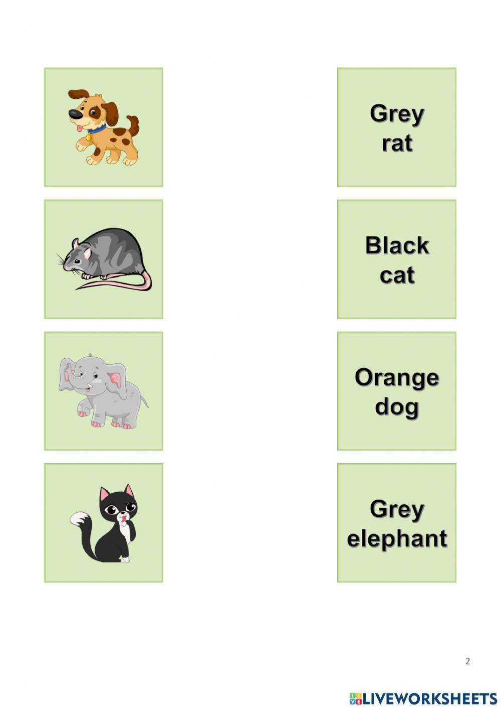 Year 1 unit 3: pet show interactive worksheet | Live Worksheets