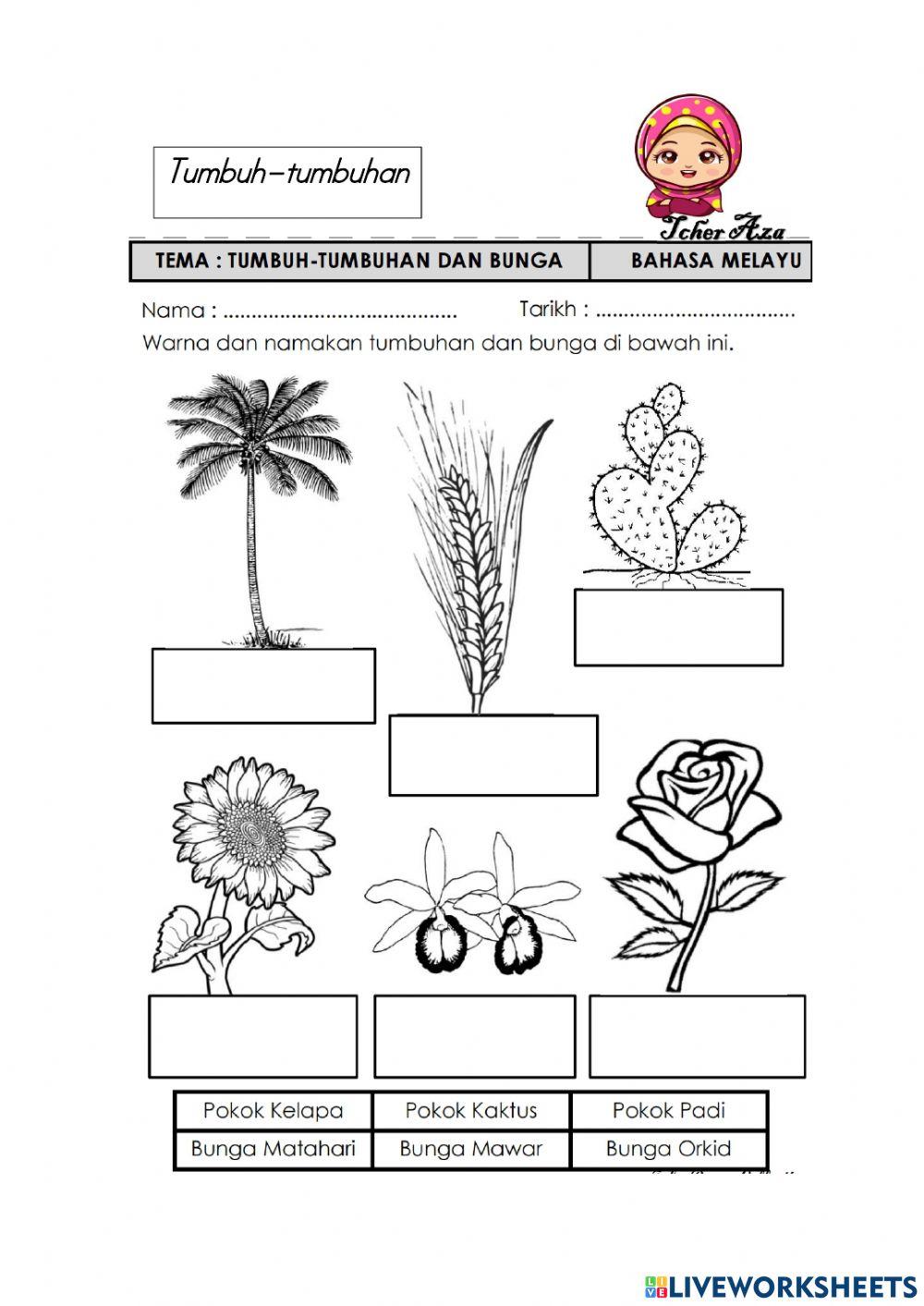 Tumbuhan dan bu… | Free Interactive Worksheets | 1216793