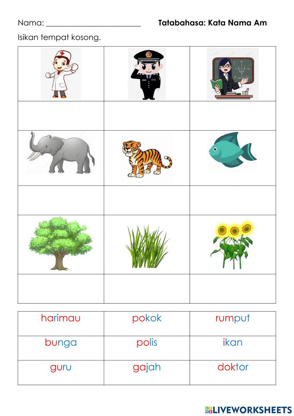 1216826 | Tatabahasa: Kata Nama Am | LIM HONG YEE