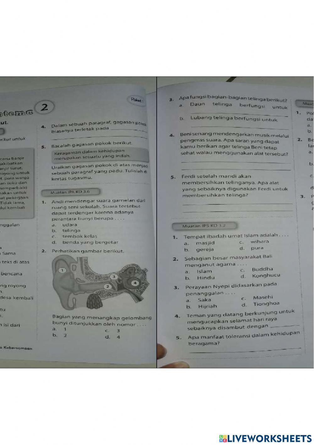 Ipa 2 worksheet | Live Worksheets