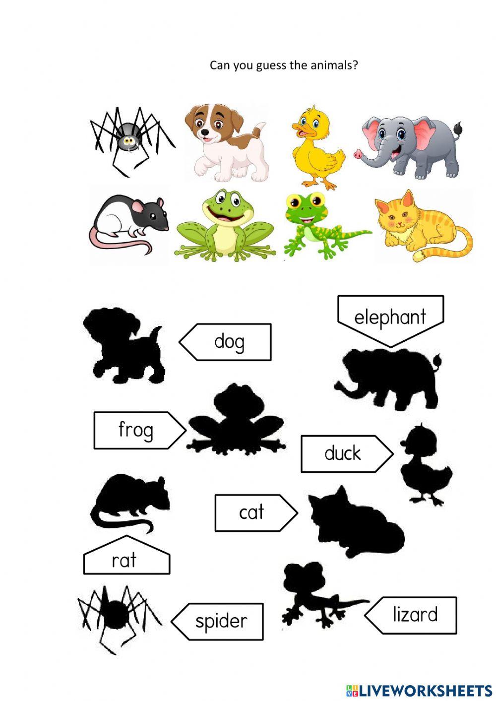 Pets | Free Interactive Worksheets | 5112645