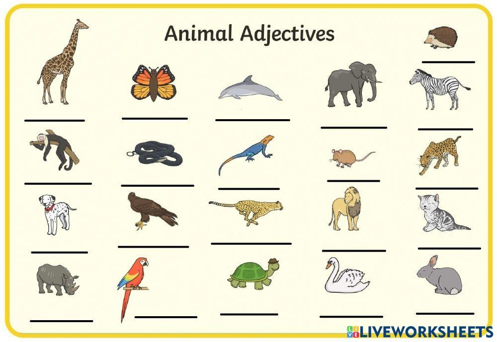 Animal Adjectiv… | Free Interactive Worksheets | 3255028