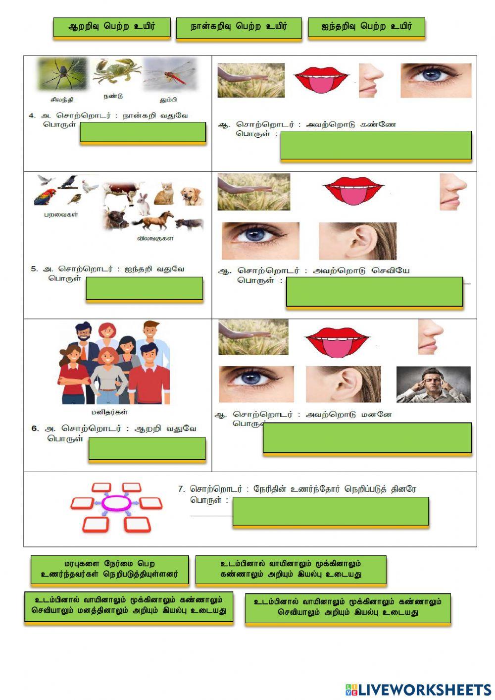 தொல்காப்பியம் உயிர்களின் பகுப்பும் சிறப்பும் மரபும் worksheet | Live ...