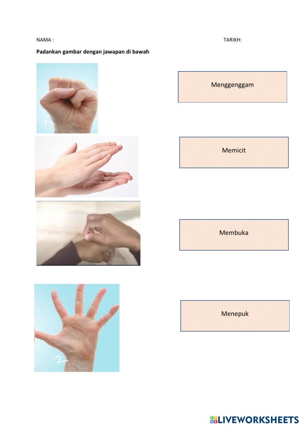 Kemahiran memicit interactive worksheet | Live Worksheets