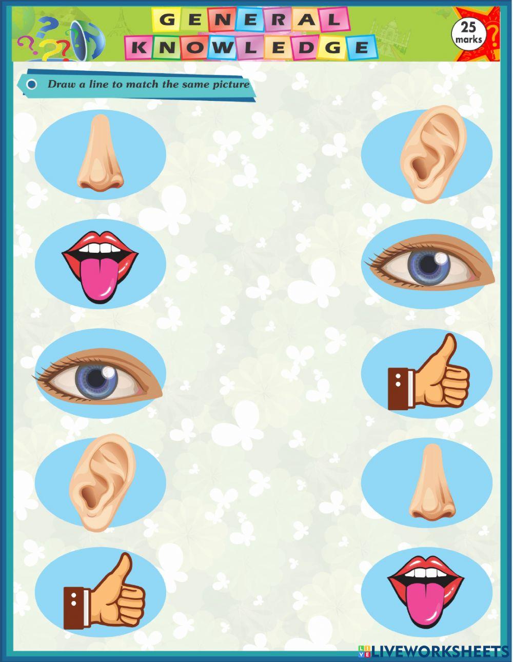 NURSERY CLASS QUESTION PAPER CQ 2021 online exercise for | Live Worksheets