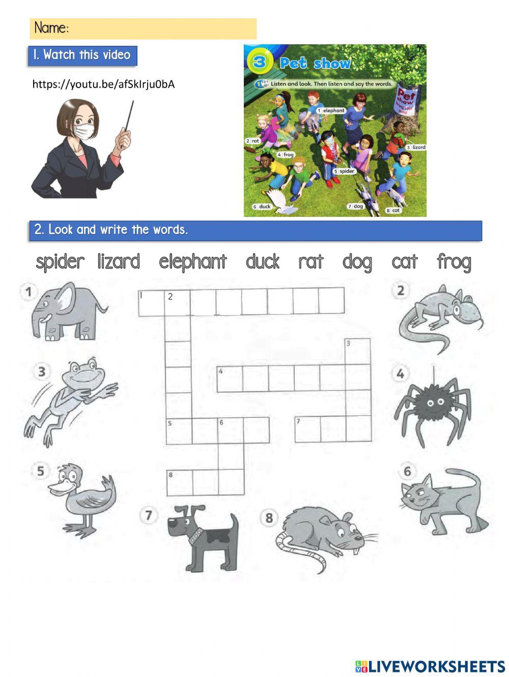 Unit 3 Pet Show free worksheet | Live Worksheets