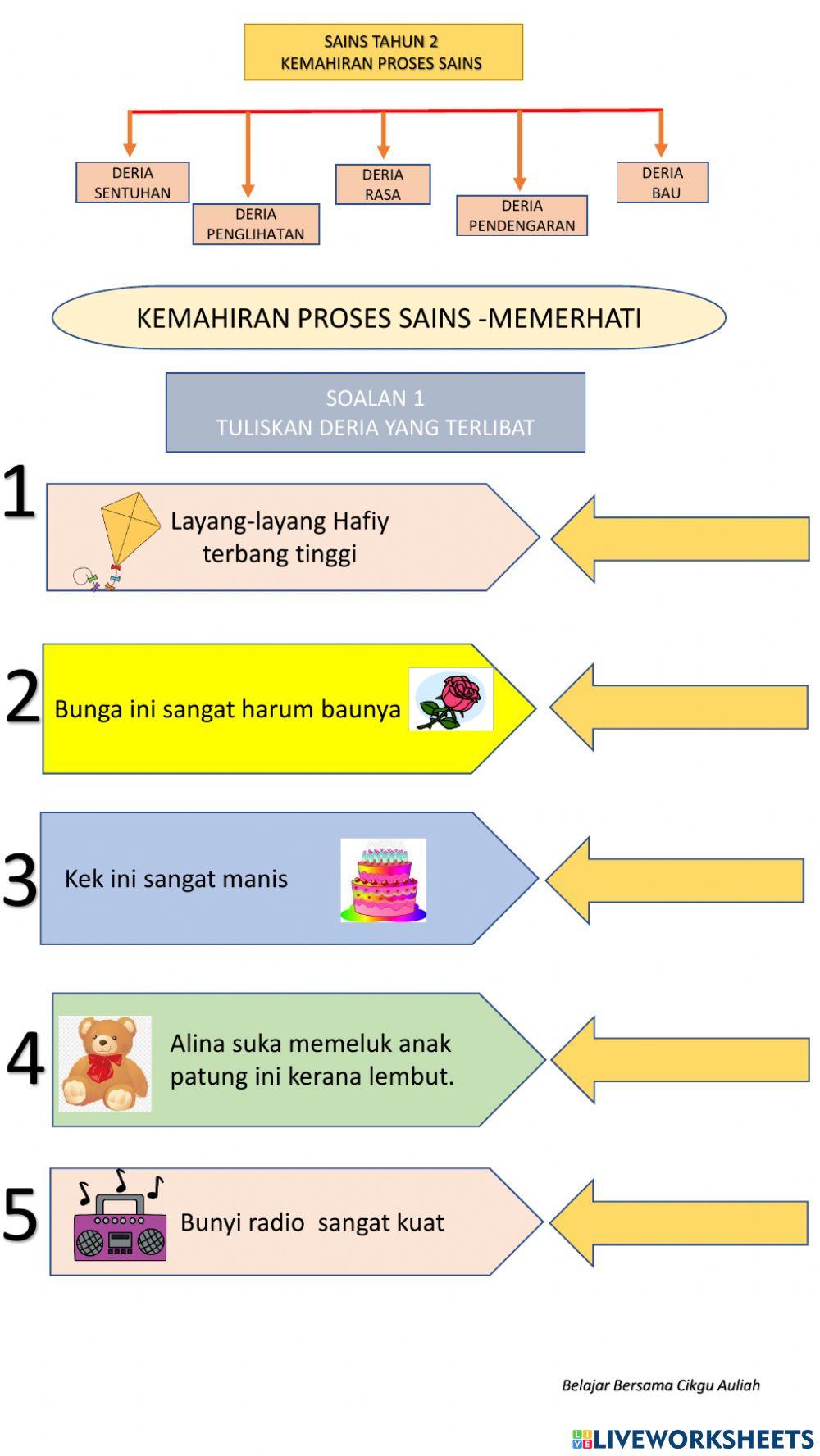 Sains tahun 2 free online exercise | Live Worksheets