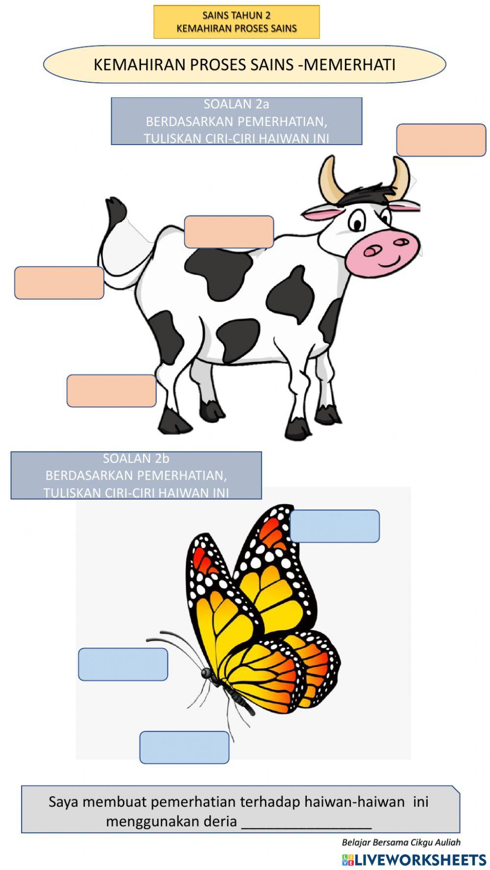 Sains tahun 2 free online exercise | Live Worksheets