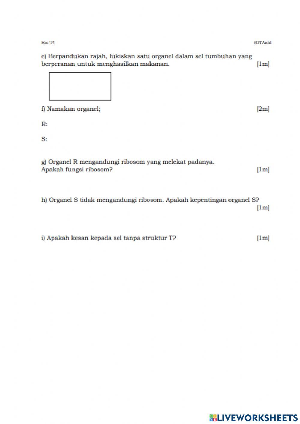 T4 BIO BAB 2-ST… | Free Interactive Worksheets | 3288788
