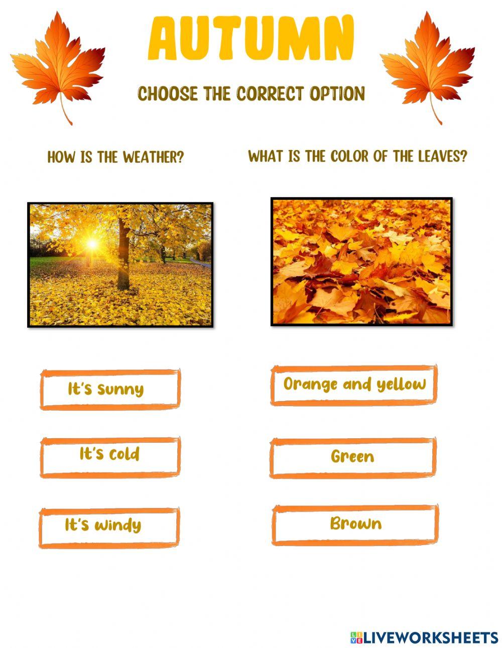 Autumn online exercise for Grade 2 | Live Worksheets