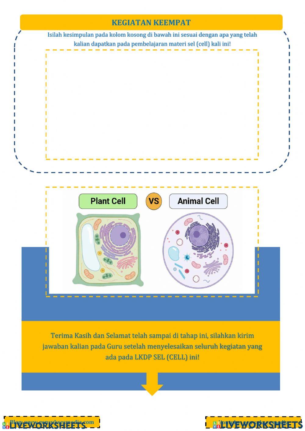 Quis Struktur dan Fungsi sel worksheet | Live Worksheets