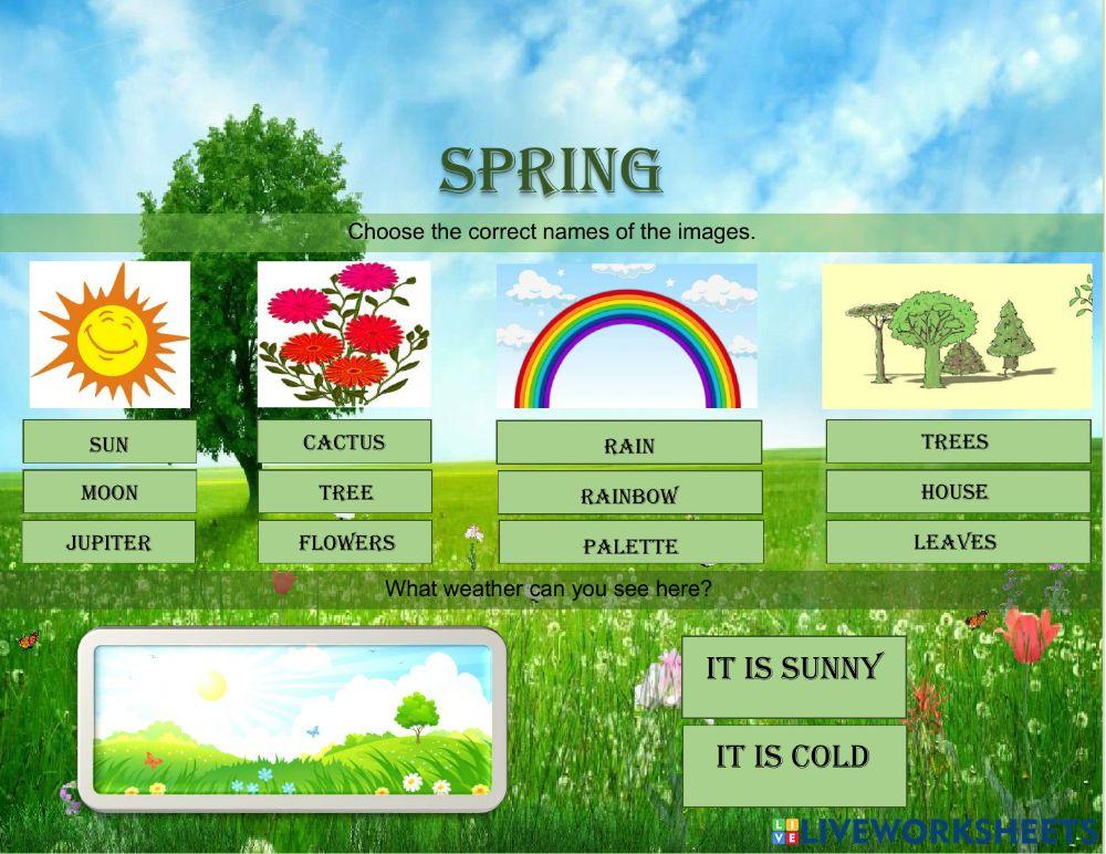 Spring 1654935 | alvarodiazbadillo | Live Worksheets