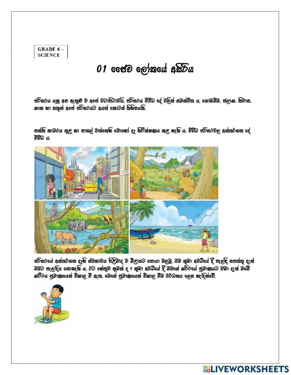 3668885 | GRADE 6 - SCIENCE - 1 st LESSON | JayaniMenike