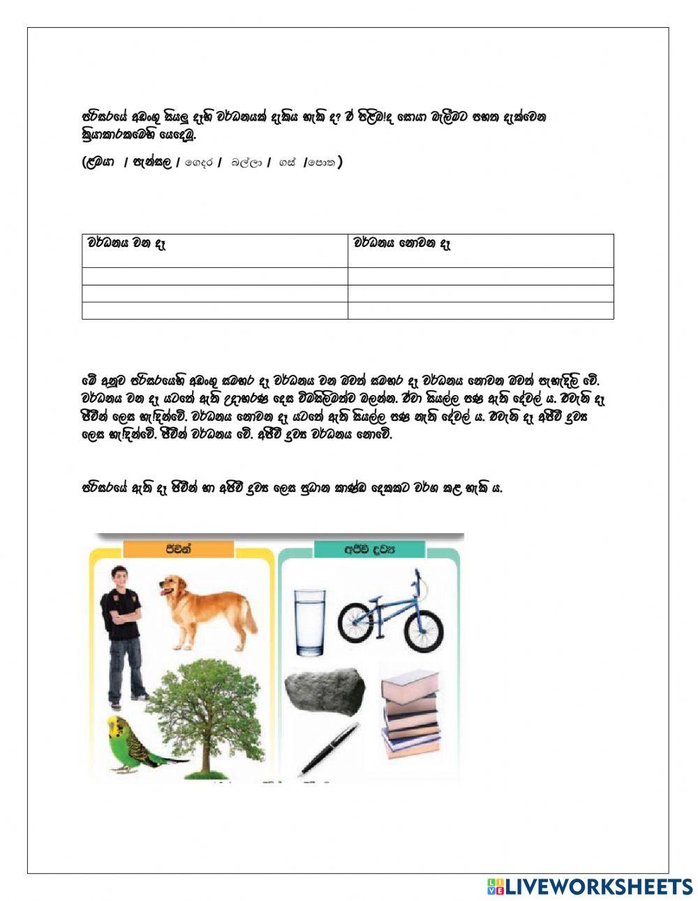 3668885 | GRADE 6 - SCIENCE - 1 st LESSON | JayaniMenike