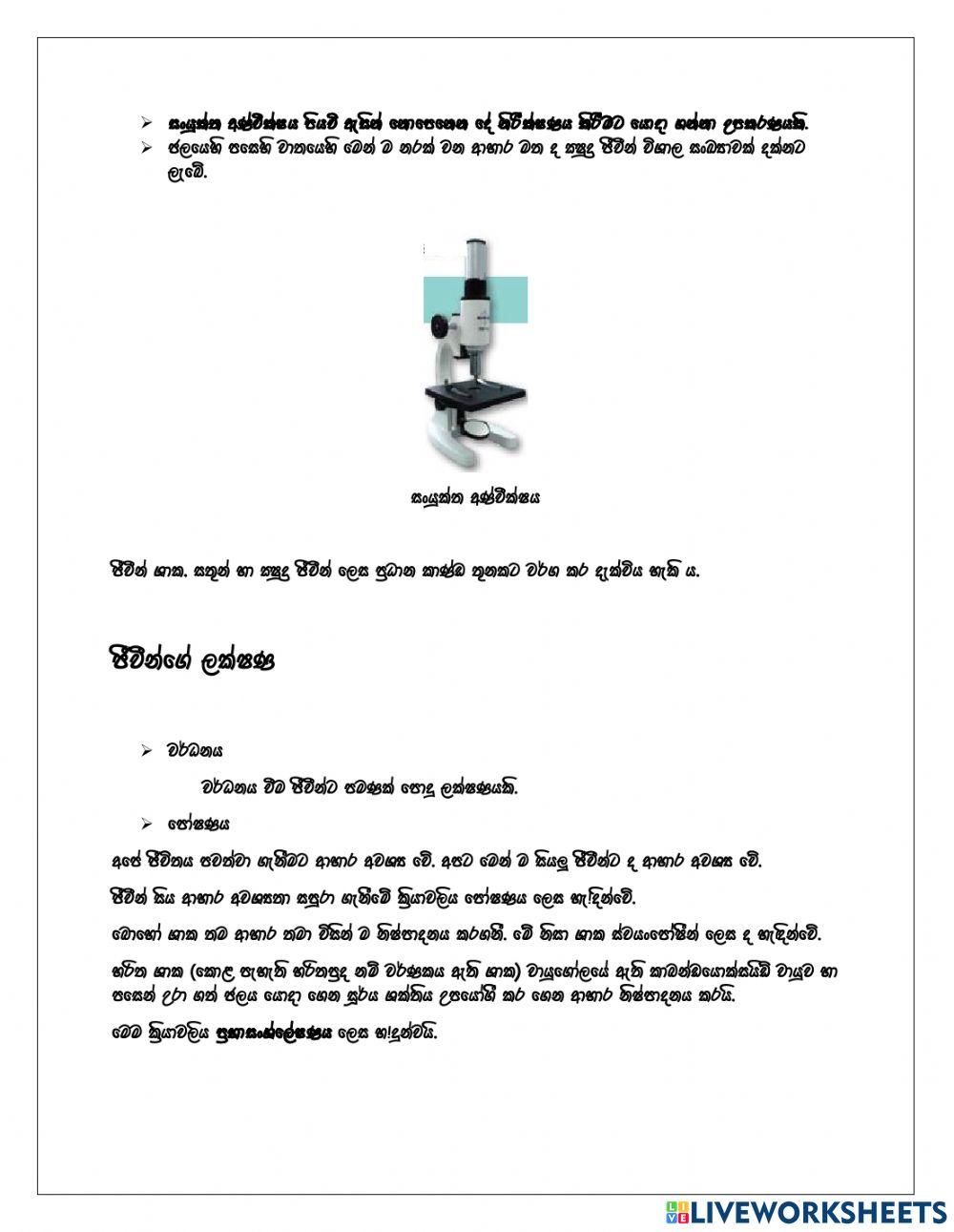 3668885 | GRADE 6 - SCIENCE - 1 st LESSON | JayaniMenike
