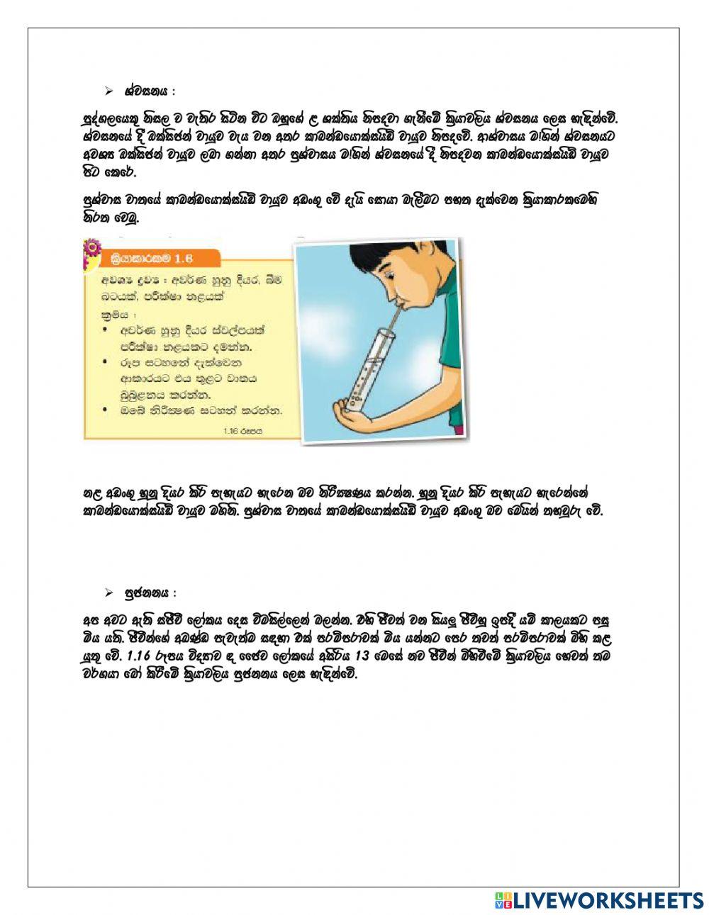 3668885 | GRADE 6 - SCIENCE - 1 st LESSON | JayaniMenike