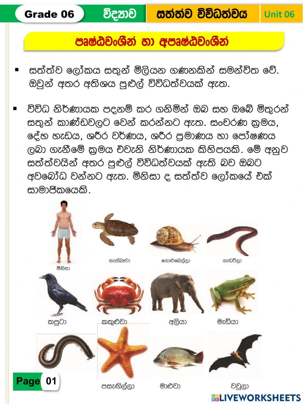 Science online exercise for 6 | Live Worksheets