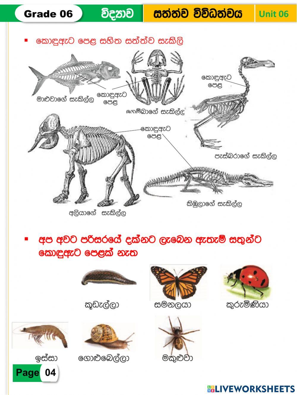Science online exercise for 6 | Live Worksheets