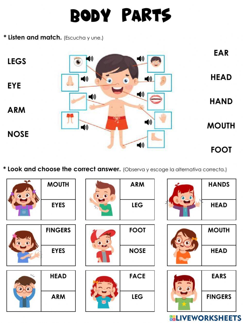 Body Parts In Spanish For Kids Worksheet