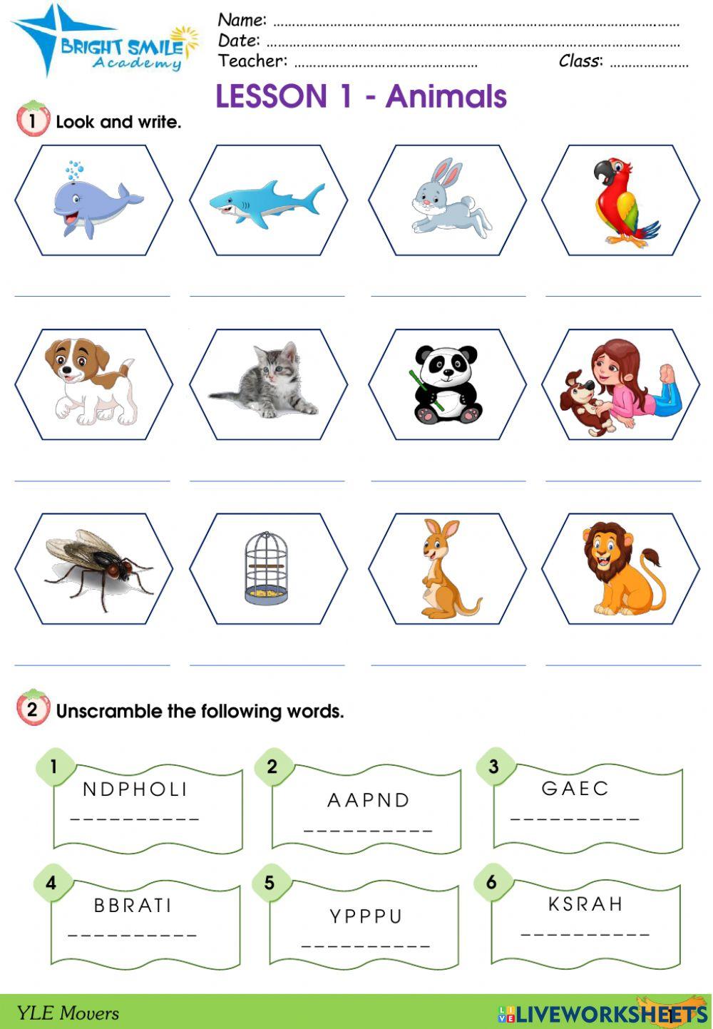 3292640 | Movers - Lesson 1 - Animals | Trần Thị Thu